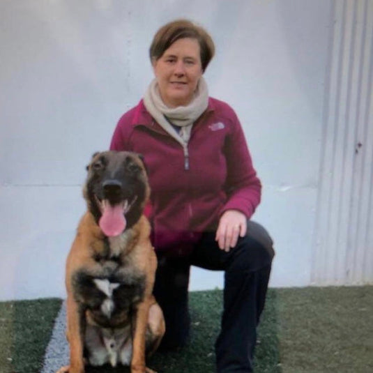 About Us – Kerry Dog Training